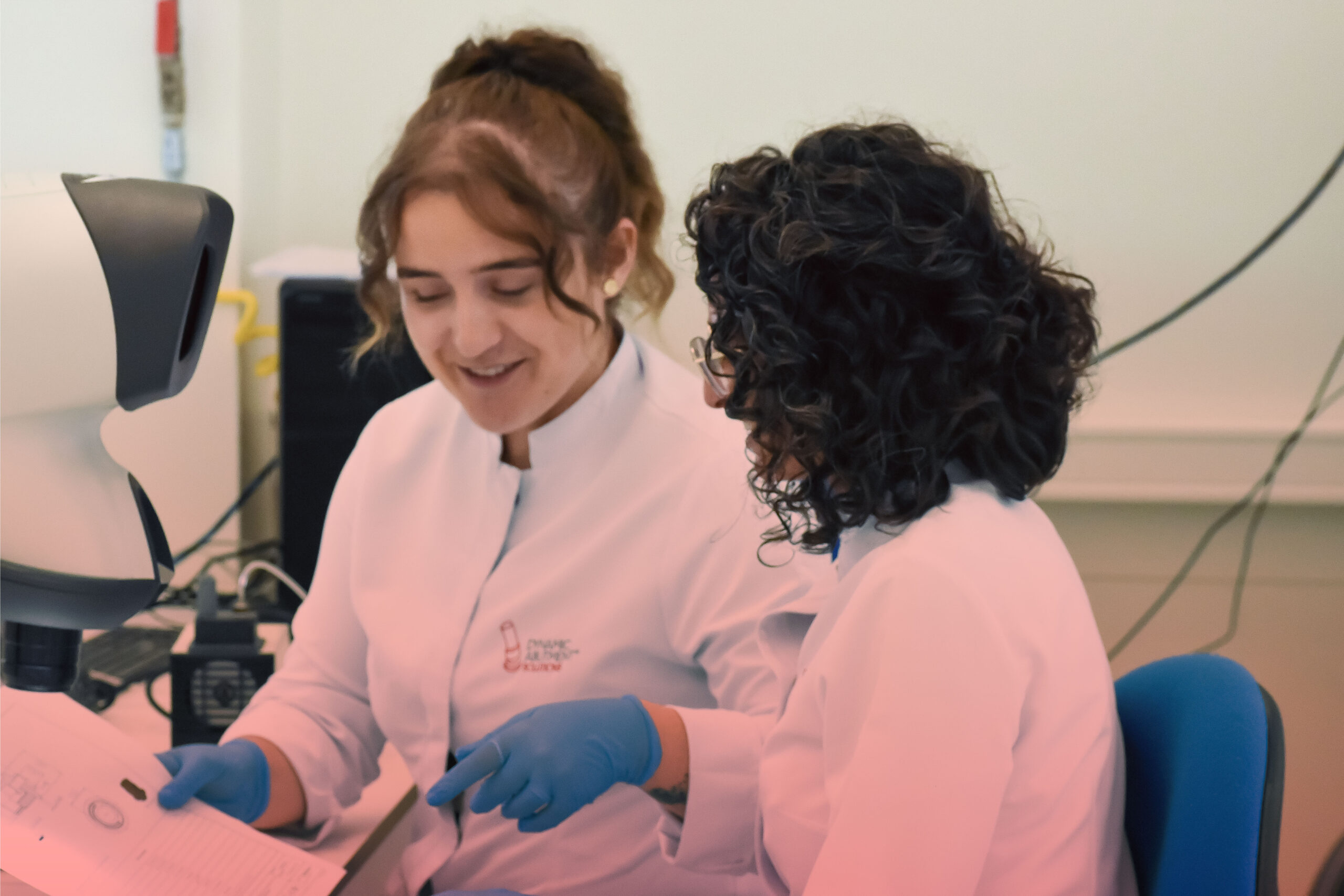 Dynamic Abutment Solutions EN